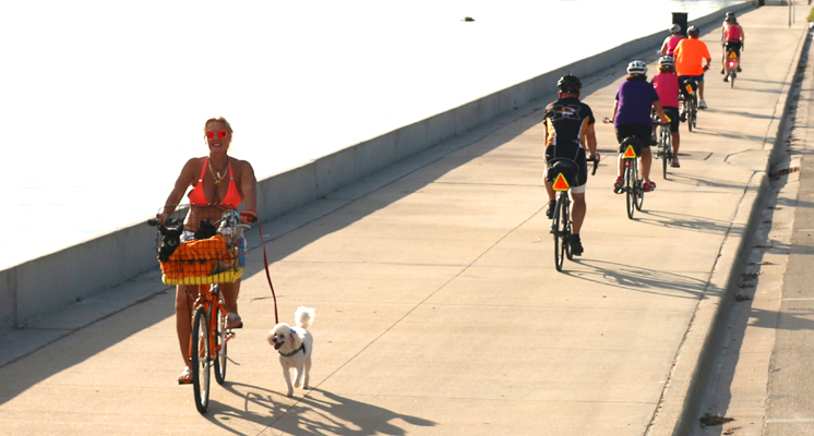 Florida Keys Bike Tours | Coast Cycling Vacation in Florida